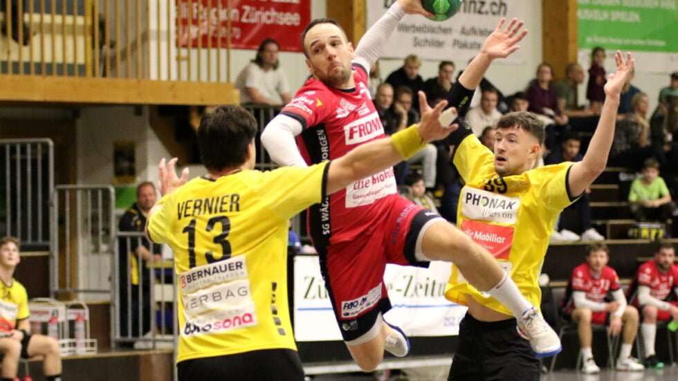 NLB Vorschau: Samstag, 22. April 2023, 18.00 Waldegg in Horgen - SGHW